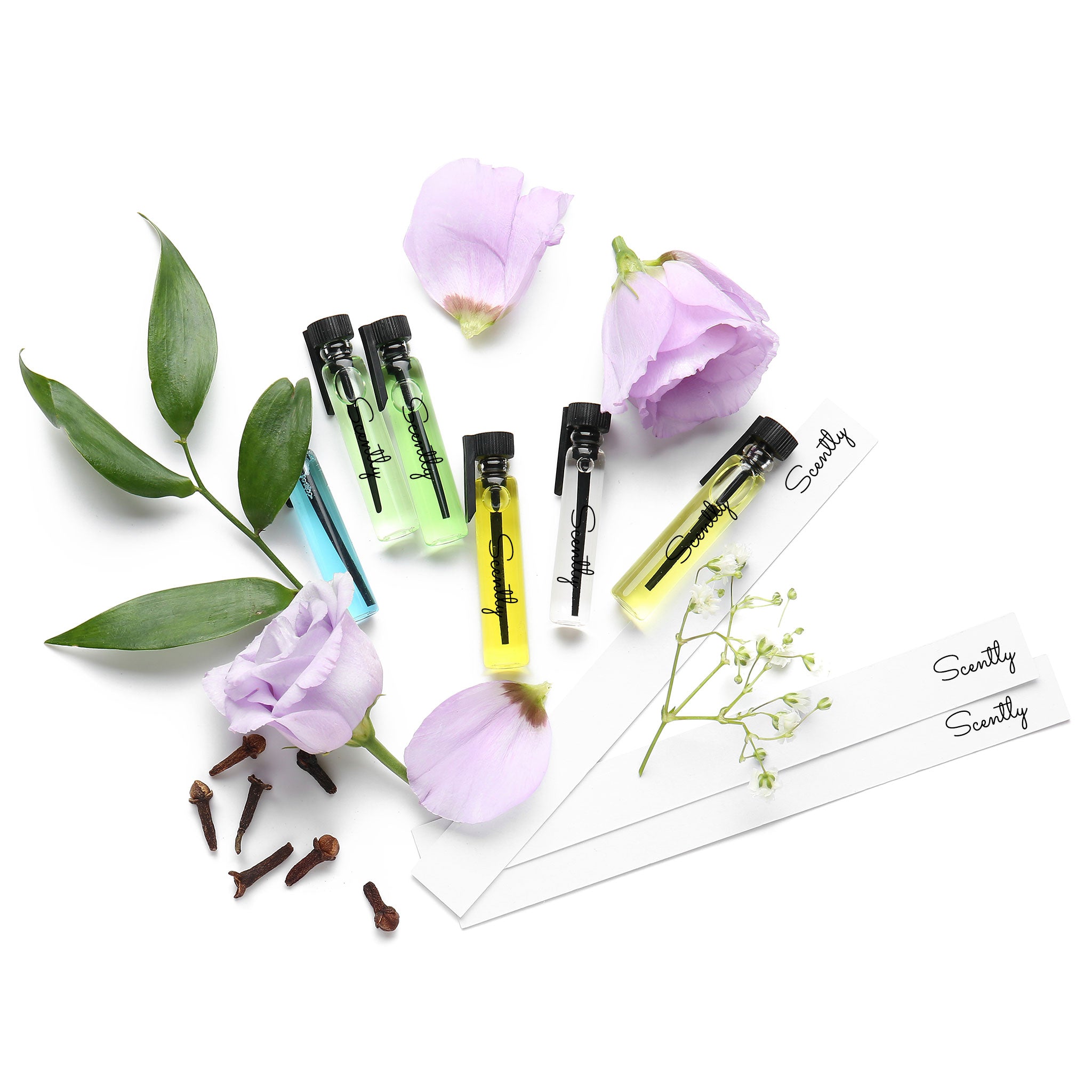 Scently Fragrance Discovery Kit | By Scent.ly